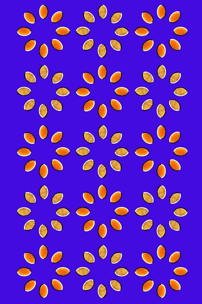 15 illusions d'optique incroyables